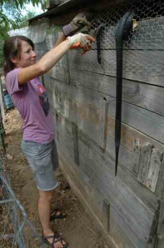 Amanda Wunderlich – The Happy Homesteader – MOTHER EARTH NEWS – Mother ...